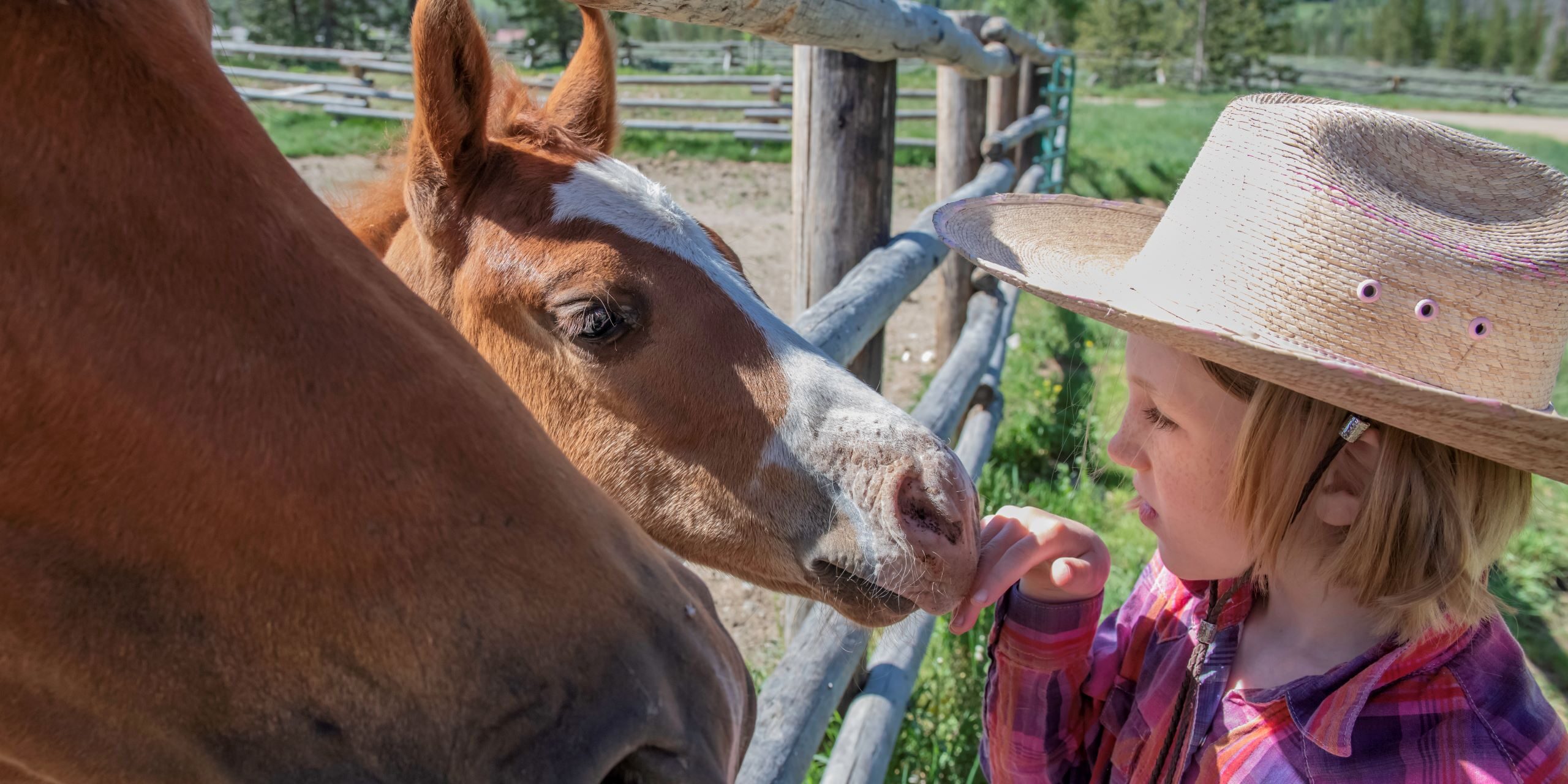 Now Offering a 3-5-Year-Old Children's Program at the Ranch